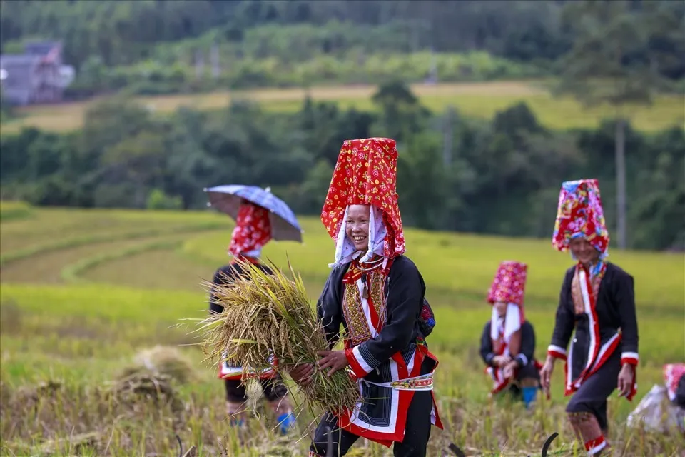 Discover the Dao Ethnic Group: History, Festivals, and Customs - iGuide ...