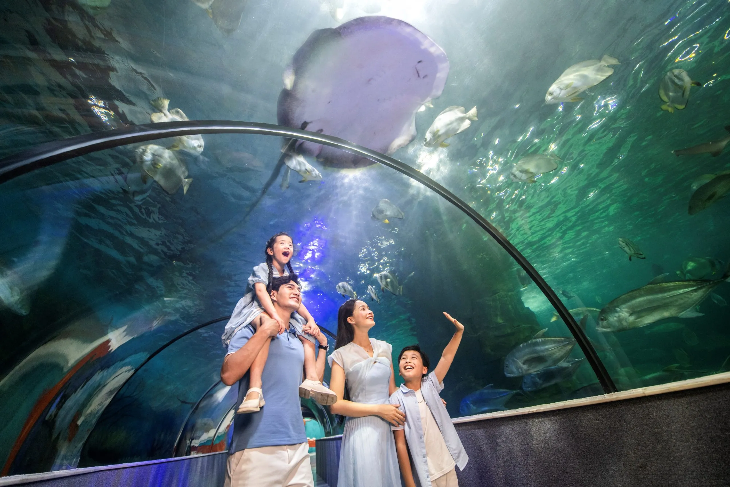 VinKe & Vinpearl Aquarium - The leading aquarium educational ...