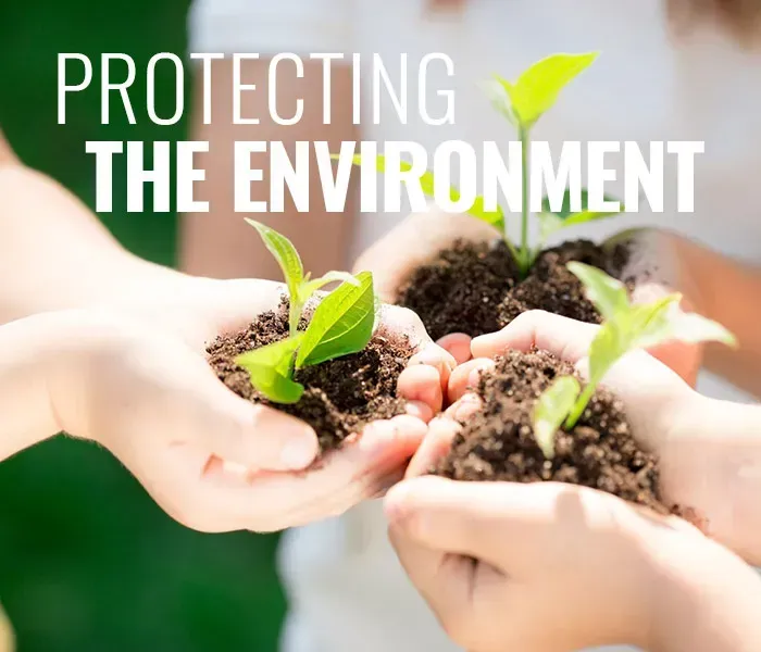 Effective measures to protect a clean green environment | iGuide