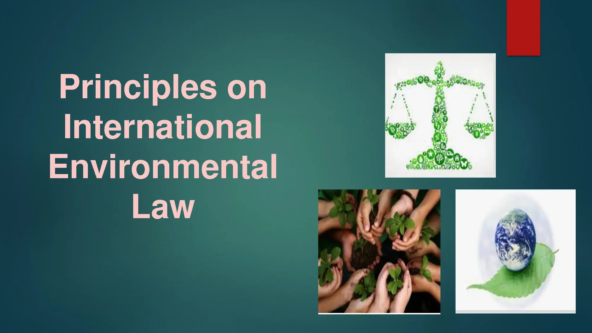 7 2020 법의 밑에 환경 보호 원리 | iGuide